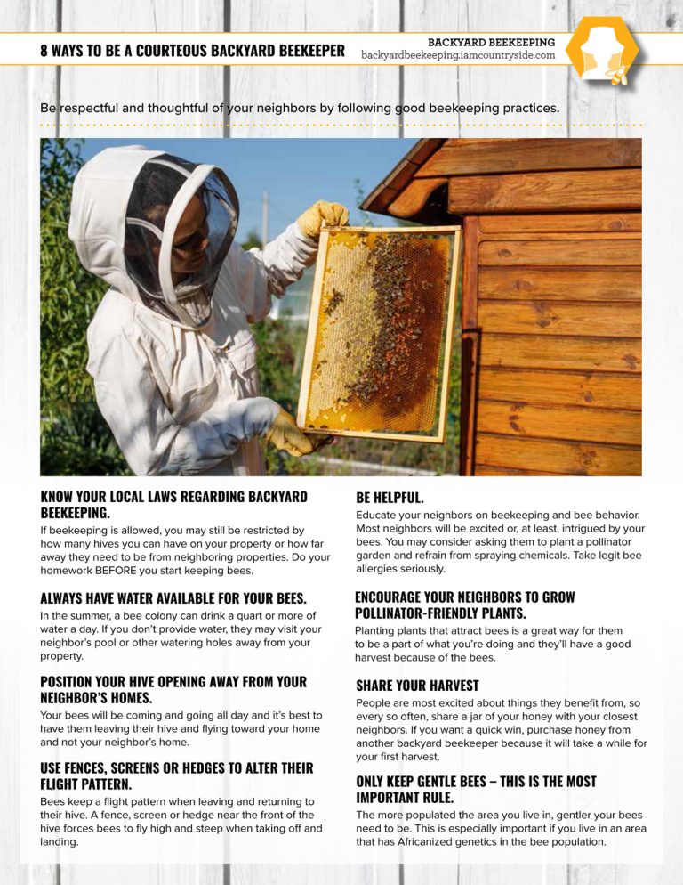 8 Ways to Be a Courteous Backyard Beekeeper - Backyard Beekeeping